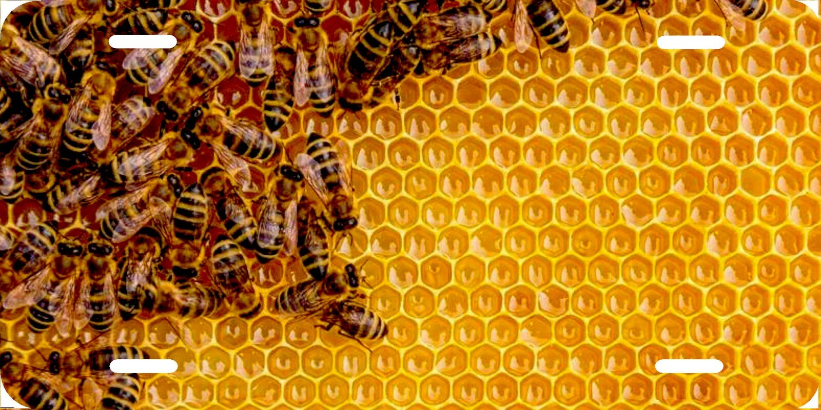 Honey bee, License Plate New Car Tag Metal Aluminum, USA | eBay