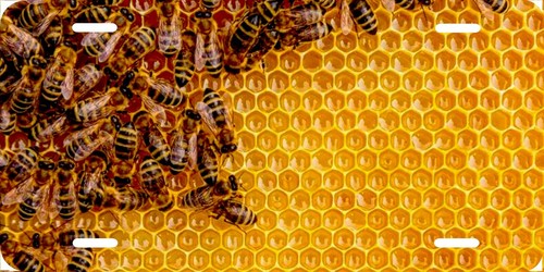 Honey bee, License Plate New Car Tag Metal Aluminum, USA | eBay