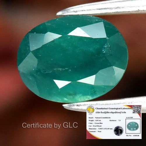 GLC CERTIFIED 0.93ct Oval Natural Green-Blue Grandidierite - World's Rarest Gem | eBay