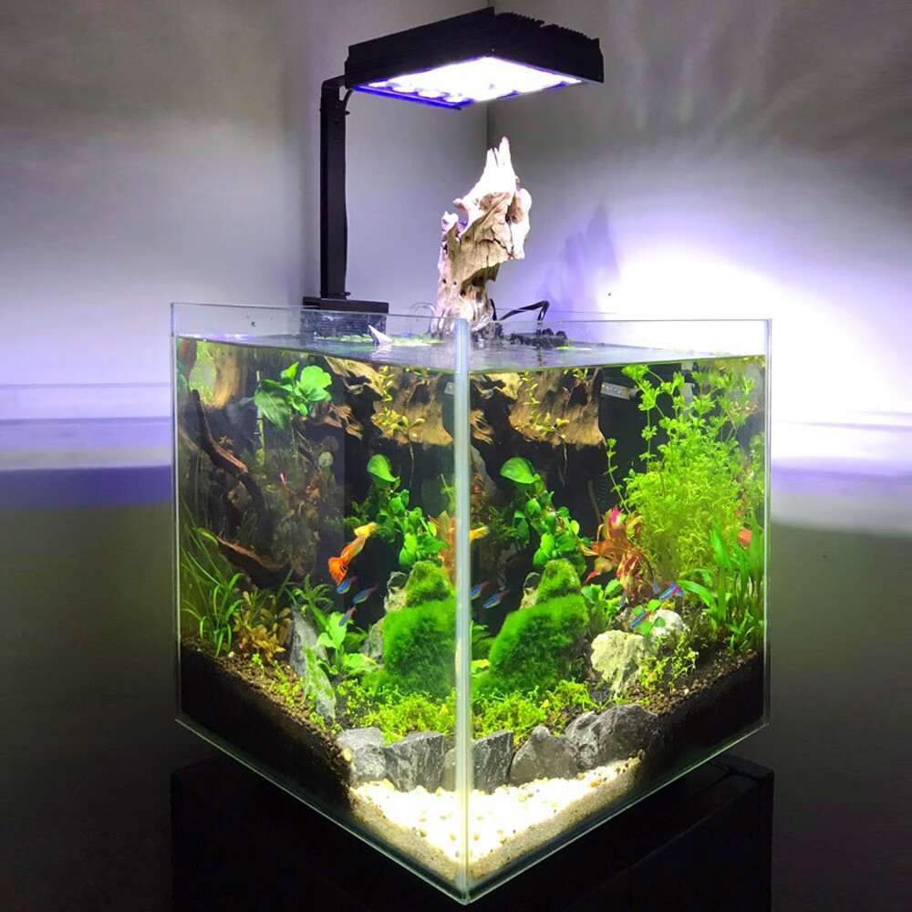 Planted Aquarium Led Lighting Planted Aquarium: Full Lighting Guide