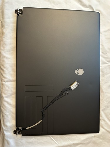 Dell ALIENWARE m15 R5 / R6 FHD 15.6" EDP 165Hz COMPLETE SCREEN K19R1 ...