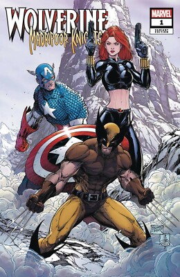 Wolverine: Madripoor Knights #1 Michael Turner Aspen Comics variant | eBay