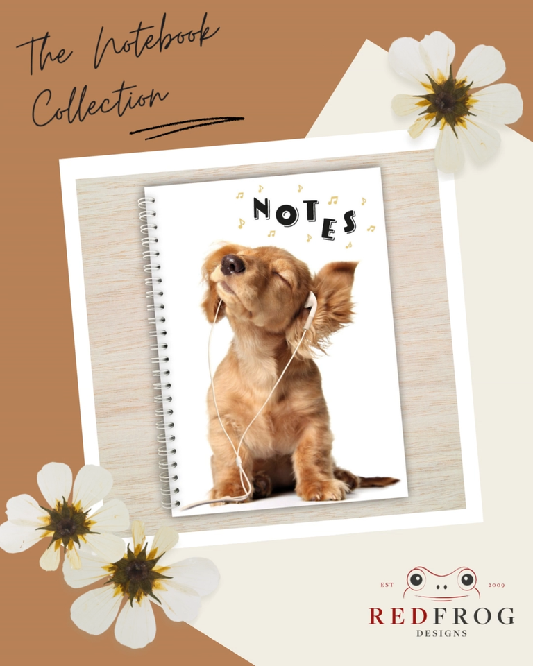 Dachshund A5 Spiral Notebook - Sausage Dog Plain Sketchbook - Kids ...