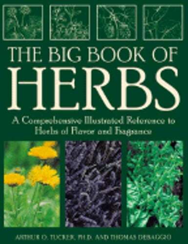 The Big Book of Herbs: A Comprehensive Illustrated Reference to Herbs ...