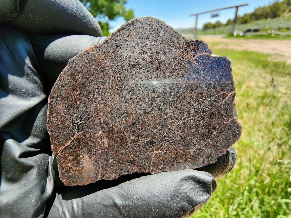 Plutonic Angrite Meteorite *18.229 g* Rafsa 004 Ultra Rare Achondrite ...