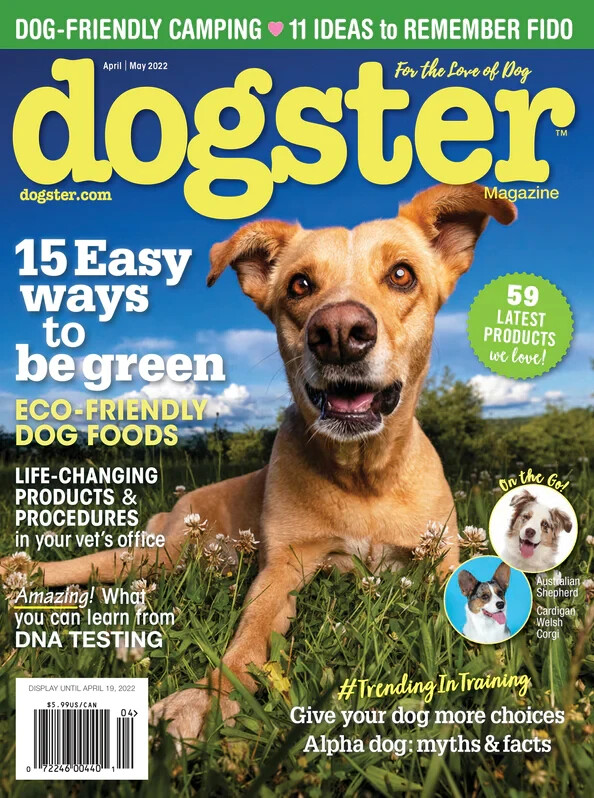 DOGSTER MAGAZINE | APR/MAY 2023 | DOG-FRIENDLY DOG FOOD - CAMPING ...