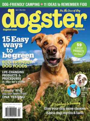 DOGSTER MAGAZINE | APR/MAY 2023 | DOG-FRIENDLY DOG FOOD - CAMPING ...
