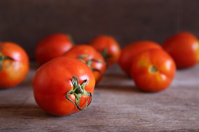 TOMATO VALIANT 15+ Seeds HEIRLOOM vegetable garden SPRING SUMMER easy ...