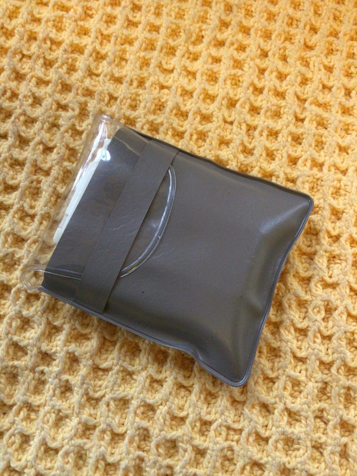 Vintage Sprite Guitar Pitch Pipe In Original Case | eBay