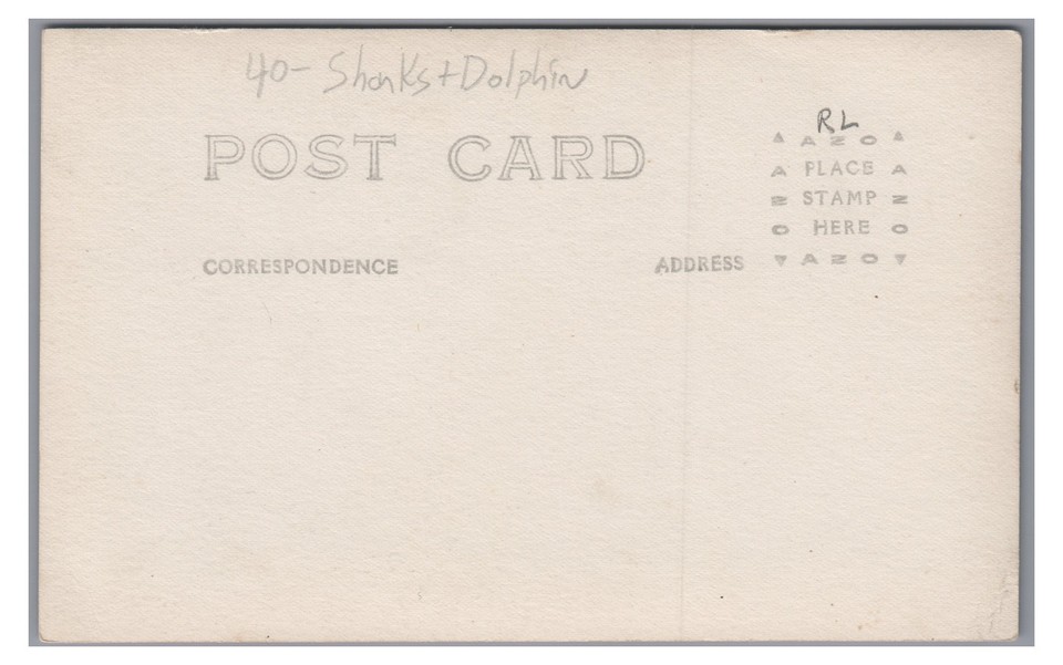 RPPC Fishing SHARKS and DOLPHIN! Catch FL Florida Vintage Real Photo ...