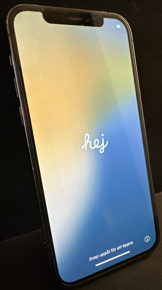 Apple iPhone 12 Pro A2407 - 256GB - Graphite (Ohne Simlock) Kapazität ...