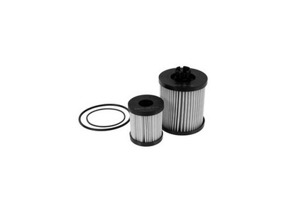 Fuel Filter 24BBRB29 for Workhorse Custom Chassis W42 2006 | eBay
