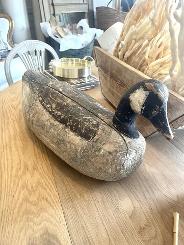 1930’s Eastern Shore Virginia Goose Attributed To Doug Jester | eBay