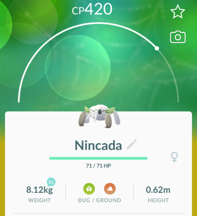 Nincada Pokemon