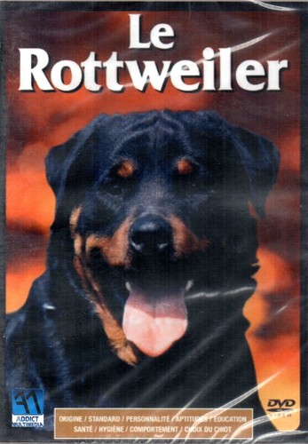 LE ROTTWEILER - Origine, Personnalité, Aptitude, Education, Santé ...