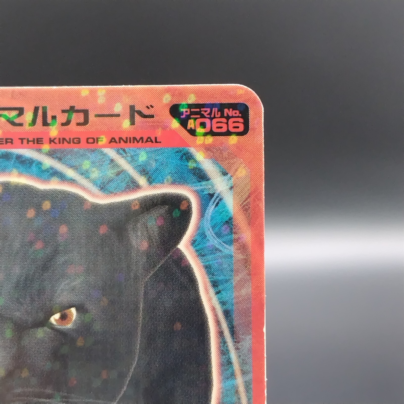 Panthera pardus Animal kaiser Holo Card Japan Japanese 2008 BANDAI A-066 | eBay