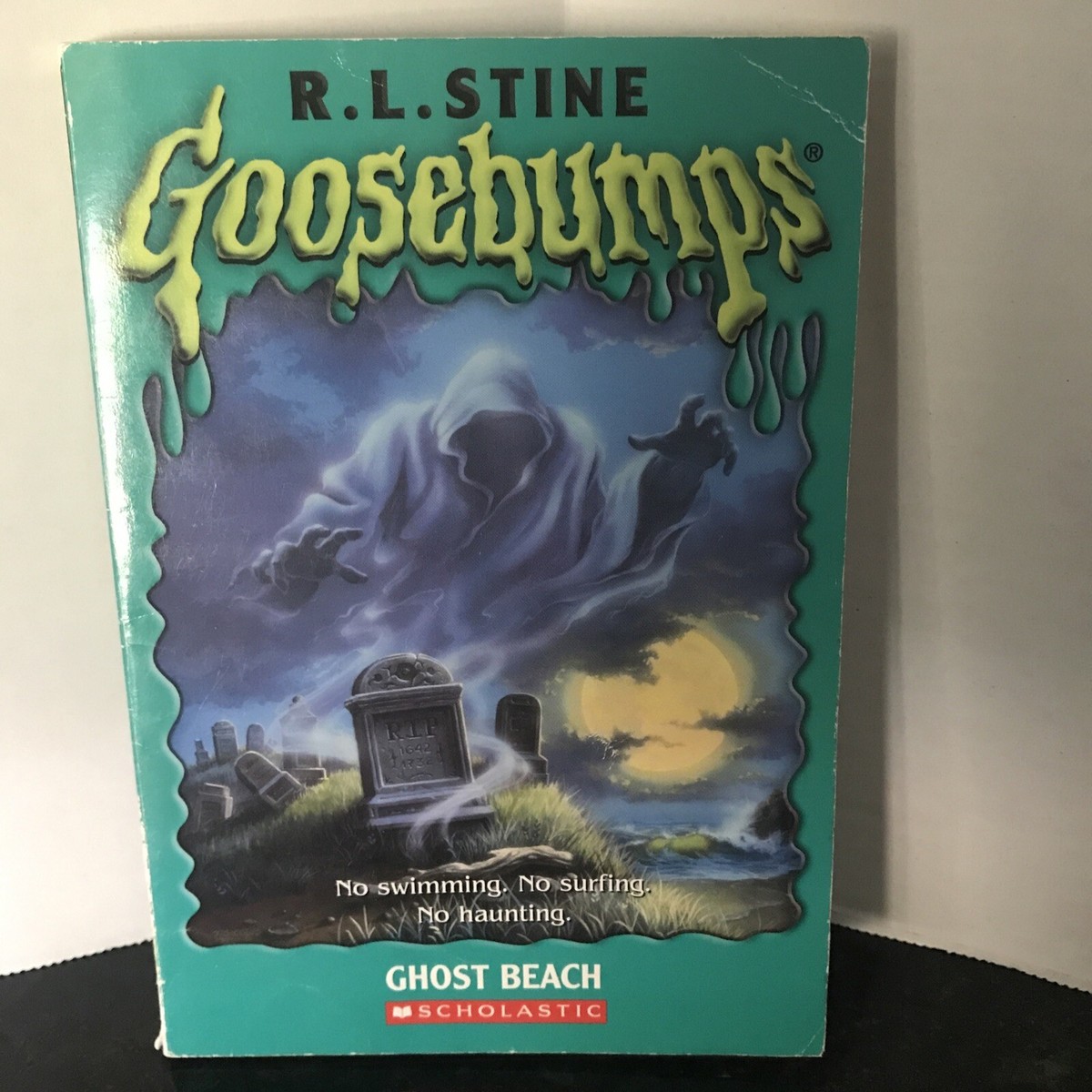 Goosebumps Ghost Beach Top Stories Published By The Goosebumps Project