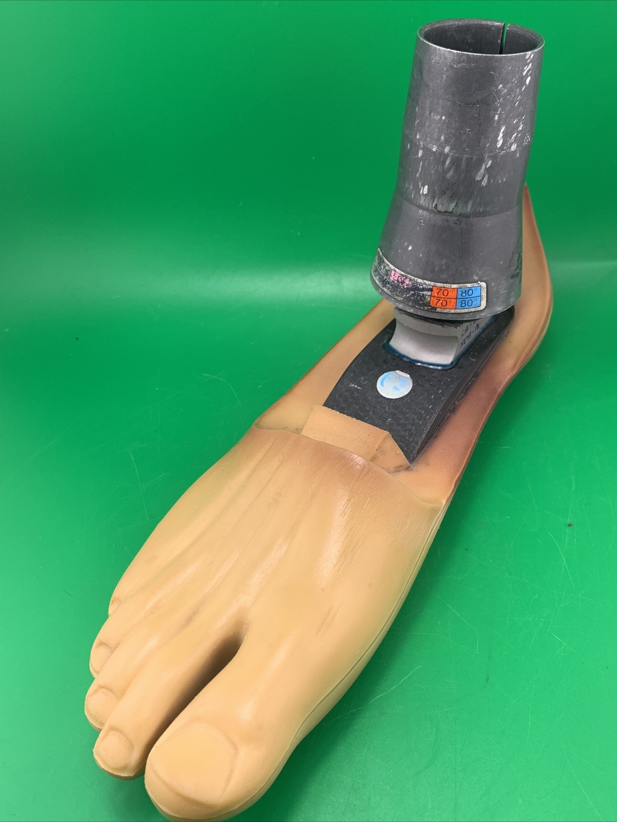 endolite blatchford multiflex prosthetic foot and Ankle. Right Foot ...