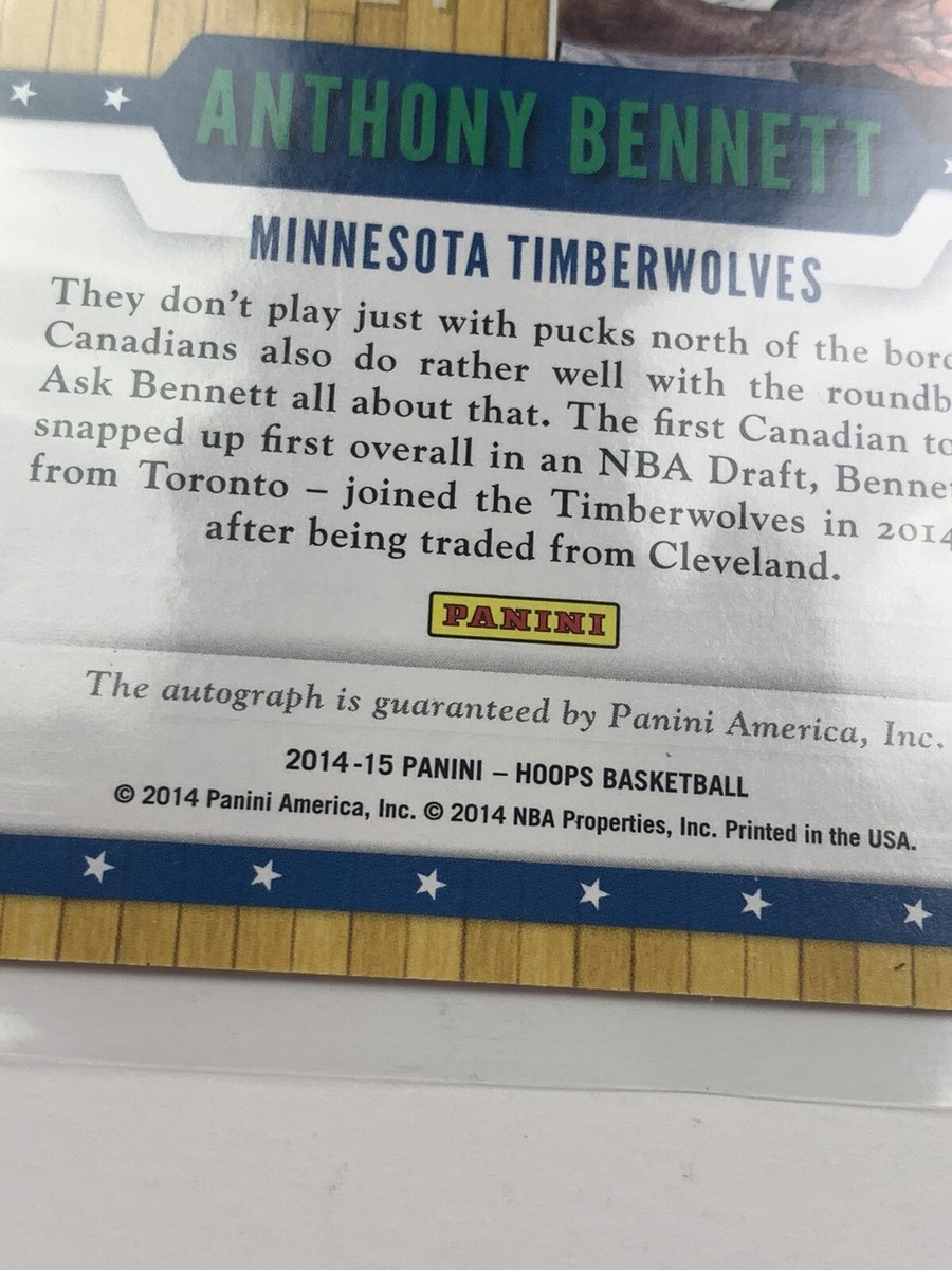 Anthony Bennett Timberwolves