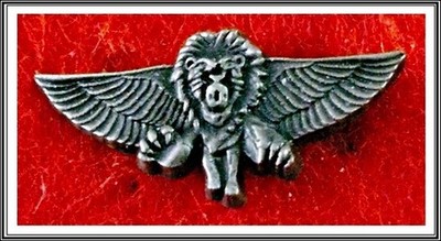 israel army idf Combat Engineering Corps Engineering Warrior lapel pin ...