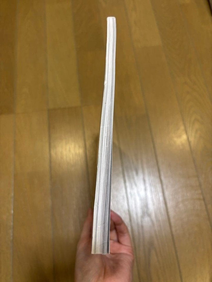 Theo Jansen and Strand Killer Bee Strike Art Book Strandbeests ...