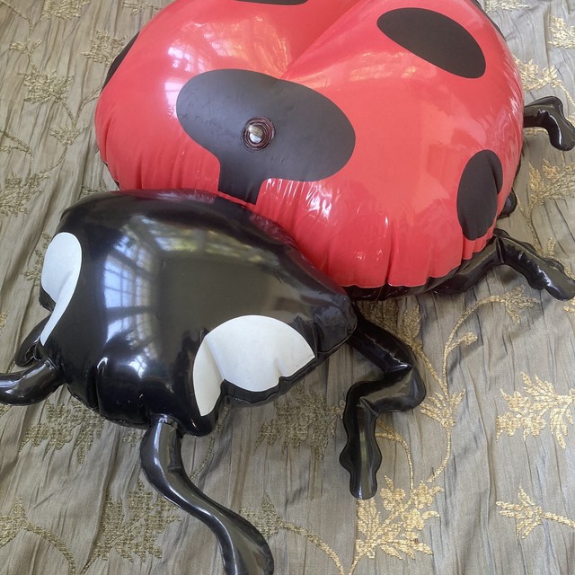 Large 20” Inflatable Ladybug Beetle Insect Bug Display Hang Up Squeaky ...