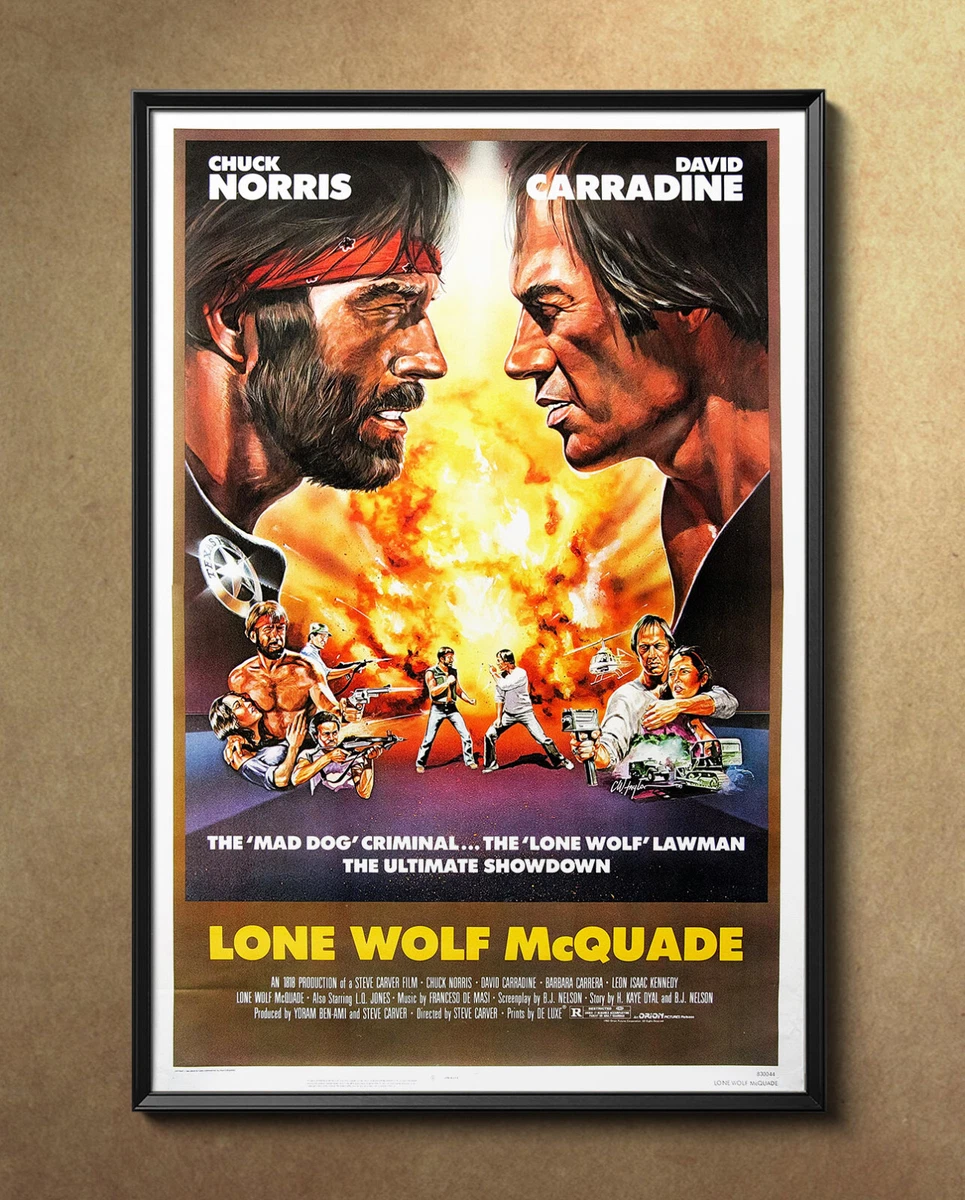 Chuck Norris Movie Posters