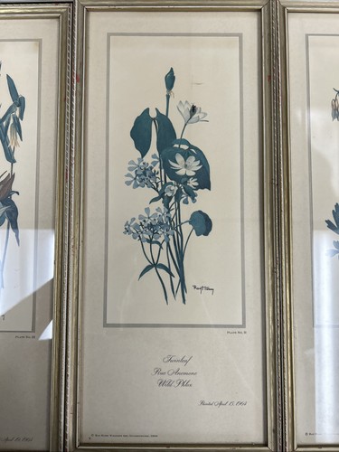 Lot Of 3 Ray Harm Wildflower Prints (3 of 6) 1964 Plates No. 2,3,and 4 ...