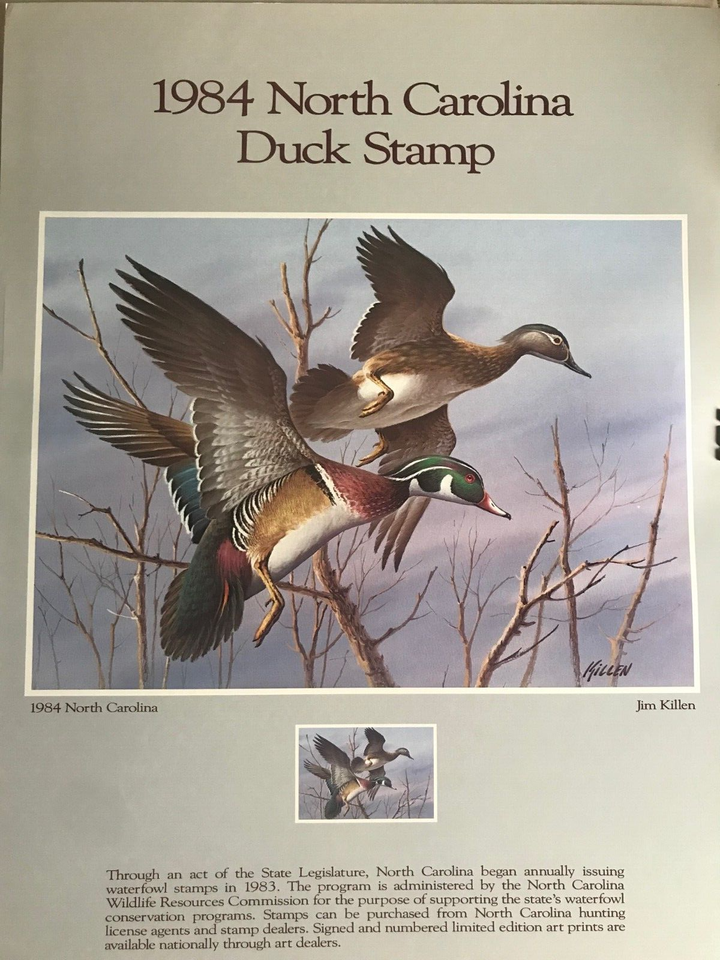 1984 Poster North Carolina Duck Stamp By Jim Killen - 18 X 24" Wildlife ...