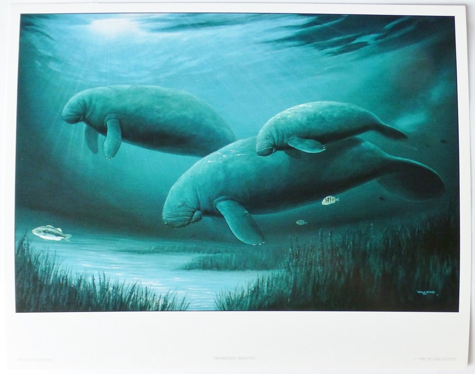Wyland Sea cows ENDANGERED MANATEES 1992 Plate Signed Offset lithograph ...