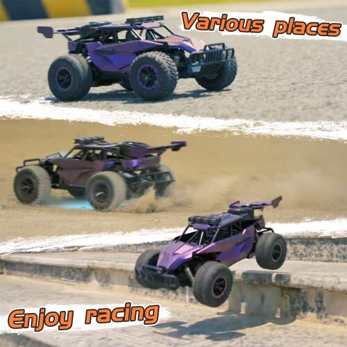 2WD 1:16 Scale Purple Remote Control Car, 20 Km/h High Speed Girls ...