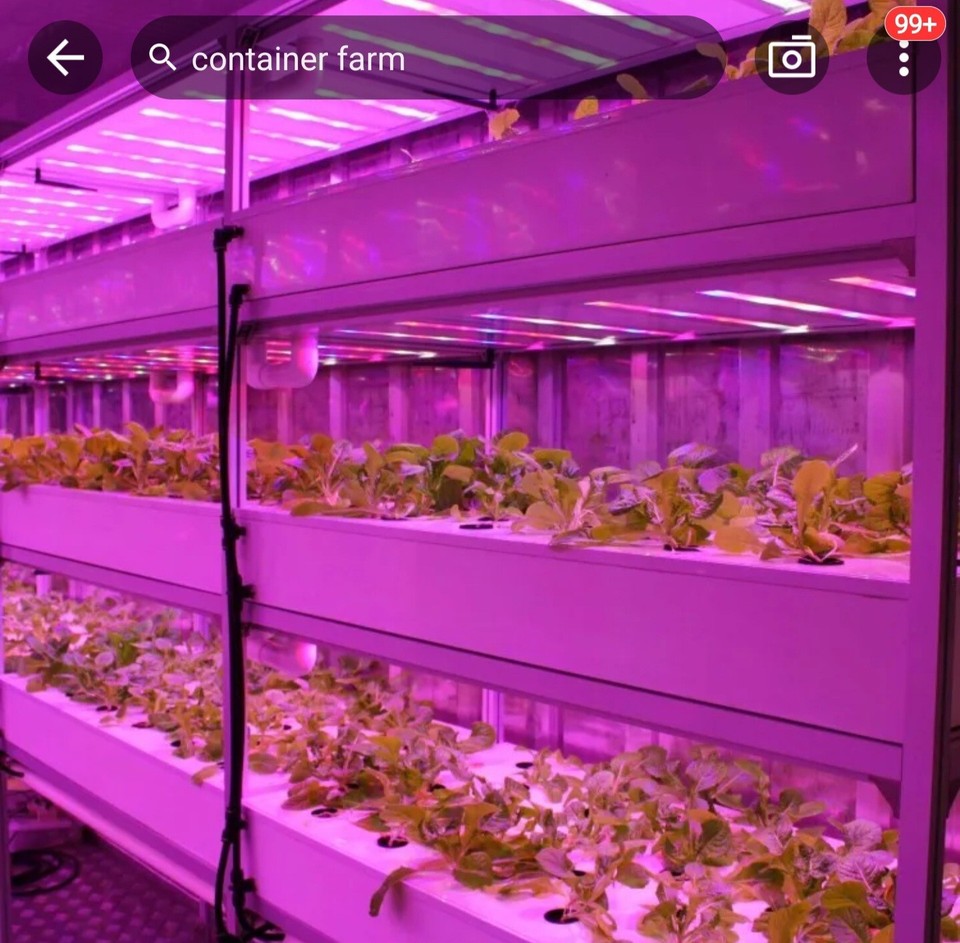 40ft Shipping Container Farm Hydroponic Urban Farming Closed Farming | eBay