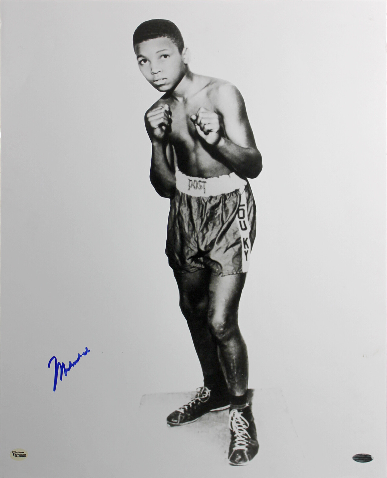 Muhammad Ali Autographed Memorabilia | Signed Photo, Jersey ...