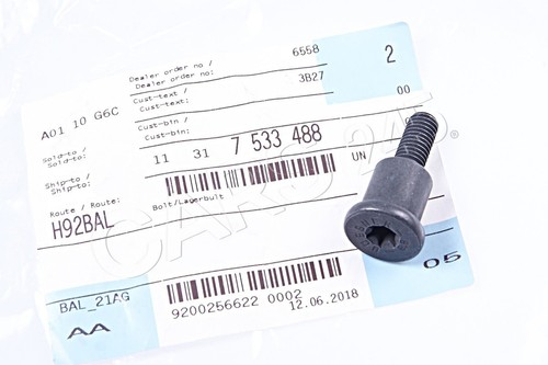 Genuine BMW E53 E60 E60N E61 E63 Timing Chain Guide Rail Bolt OEM ...