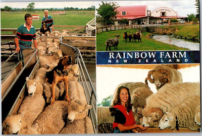 Rainbow Farm Sheep Show Rotorua, New Zealand 3 Views Continental ...