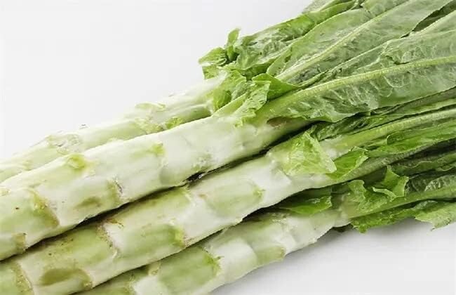 2000++Seeds Mix Green & Purple Sword Lettuce seeds, Celtuce, wosun ...