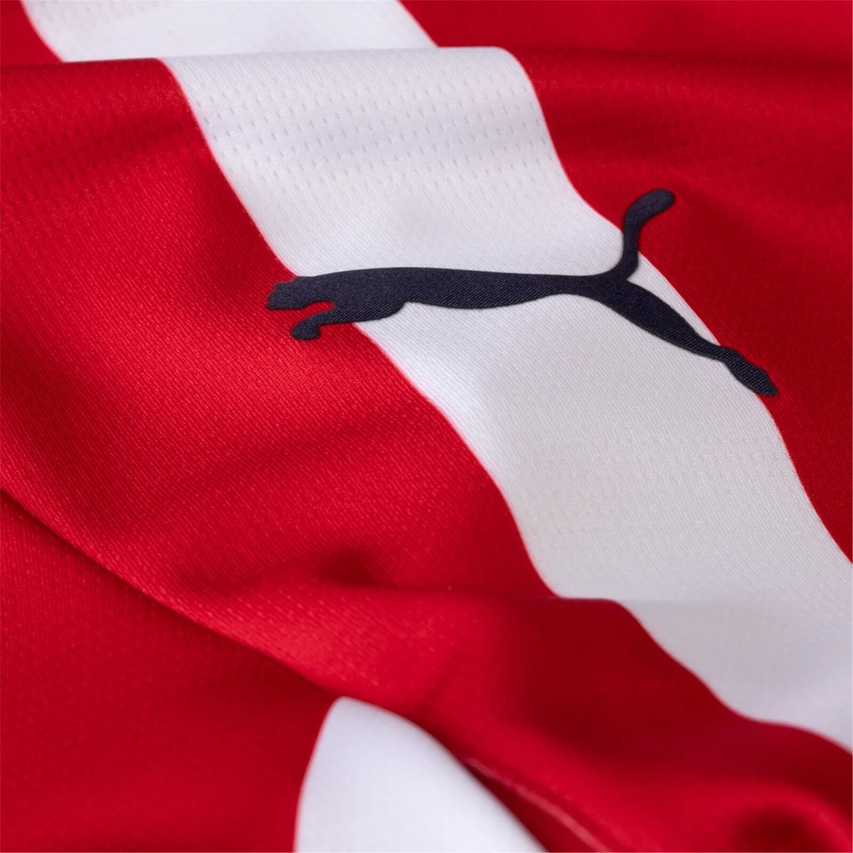 L Reg Fit Jersey Chivas del Guadalajara Home 24 - Puma - Logo ...