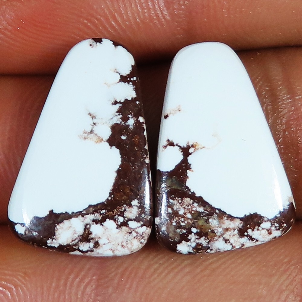 27.95Cts. Wild Horse Magnesite Pair Cabochon Loose Gemstone For Jewelry ...