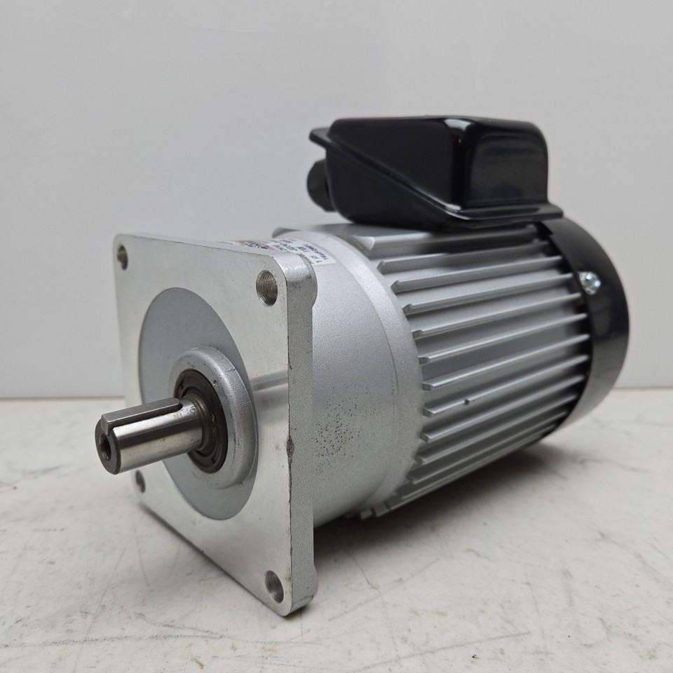 Luson Gear Motor J230V18-200-20-A(Y) 1/4 Hp 1:20 Ratio 110V 3.6A 1630 ...