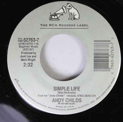 Country Unplayed 45 Andy Childs - Simple Life / Mine All Mine On Rca ...