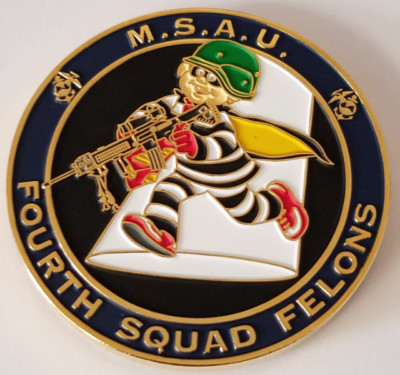 USMC MSAU Marine Security Augmentation Unit QRF QUICK REACTION 4th ...