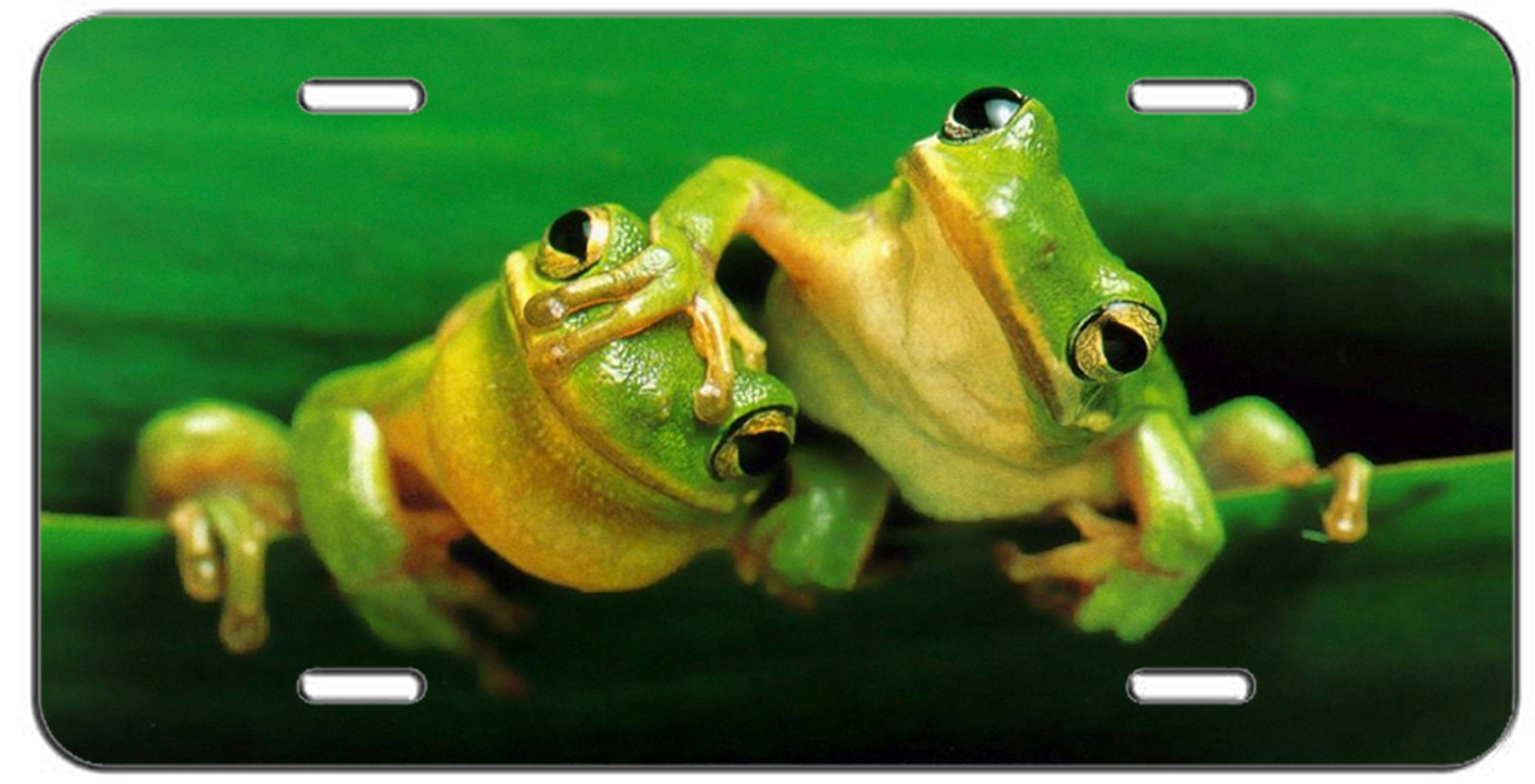 CUSTOM LICENSE PLATE TREE FROG LOVE AUTO TAG | eBay