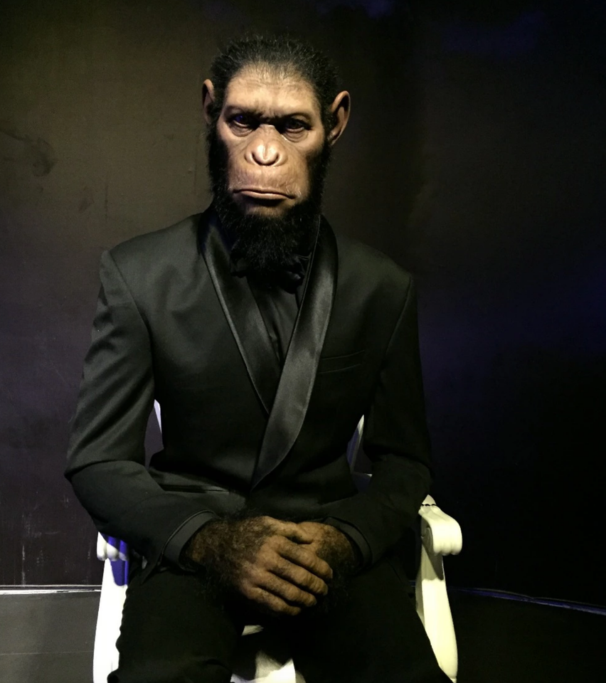 Life Size Caesar Planet of the Apes Wax Resin Statue Realistic Prop ...