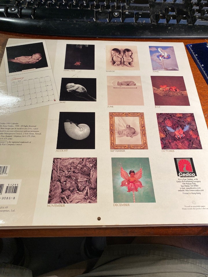 Anne Geddes 1999 Collectible Calendars - Nice MF1-347D | eBay