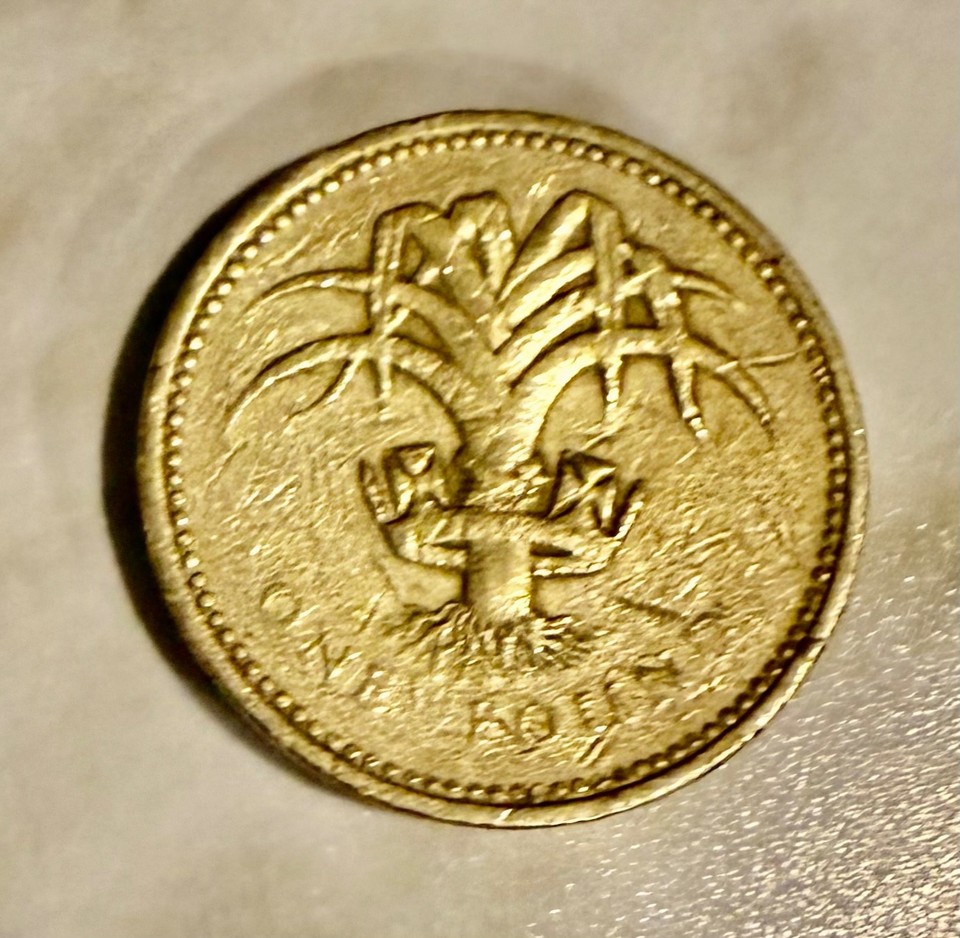 1985 Queen Elizabeth II One Pound Coin UPSIDE DOWN Engraving On Edge Of ...