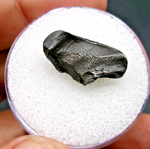 ORIENTED 5.18 gram - Sikhote Alin Meteorite Individual - 1947 fall in ...