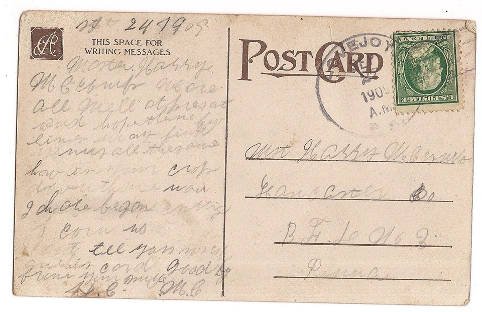 Four PUPPIES on a Red Blanket Litter Black or Brown White Dogs Postcard ...