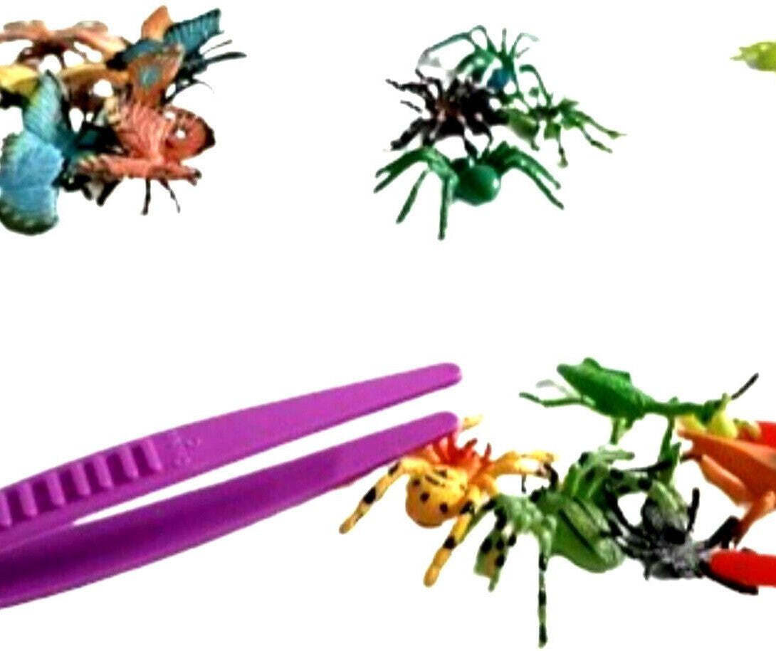 18 x Insects, 8 x Spiders and 2 Tongs Sorting Activity for Kids Science ...