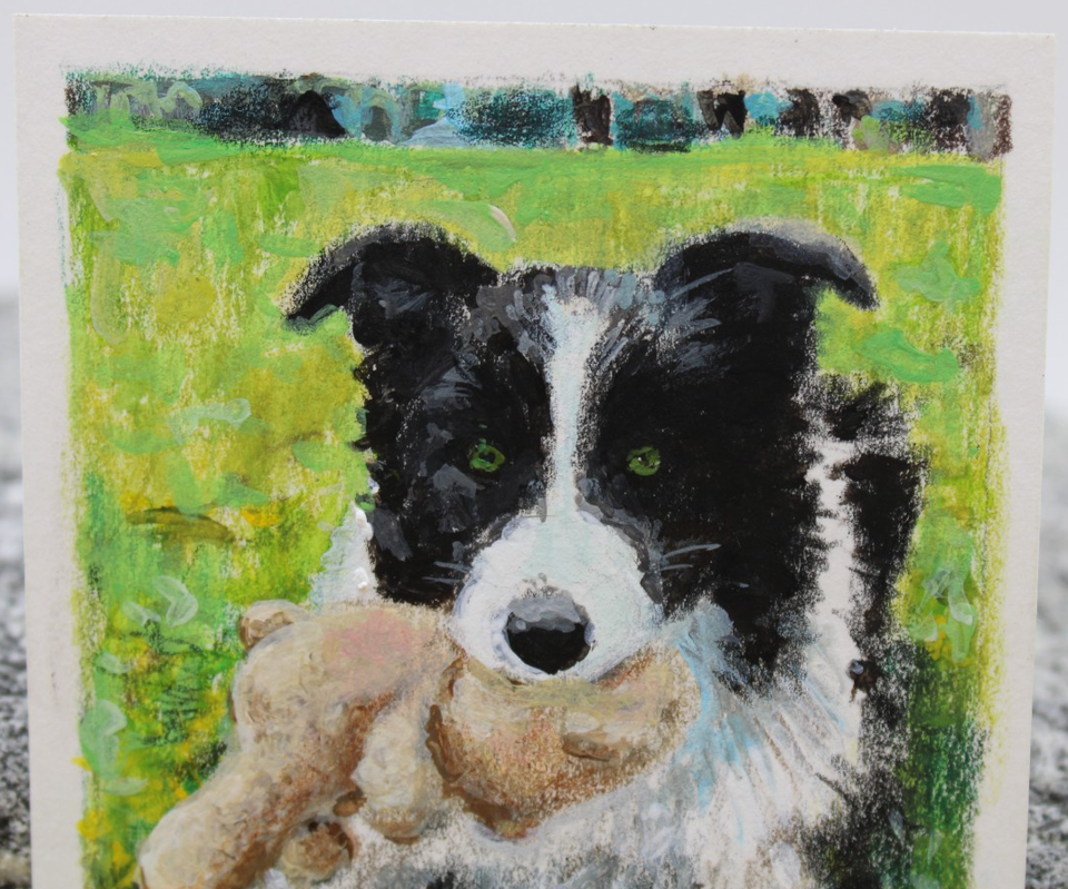 ACEO Original Artwork Border Collie Dog Art Cute Puppy & Teddy ~by ...