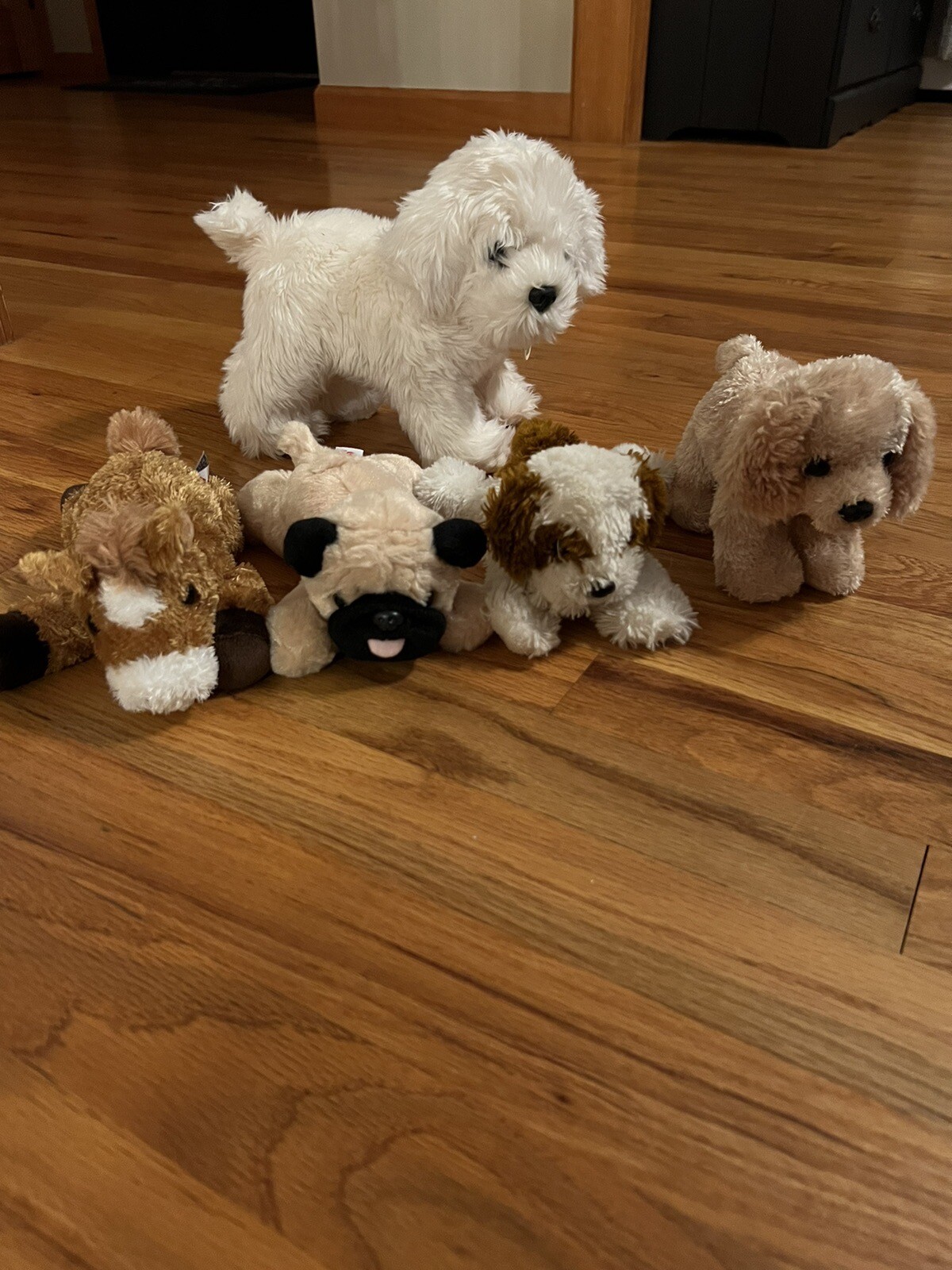 Lot Of 5 Aurora Plush Animals, 4 10” Floppy Plush And 1 12” Standing ...